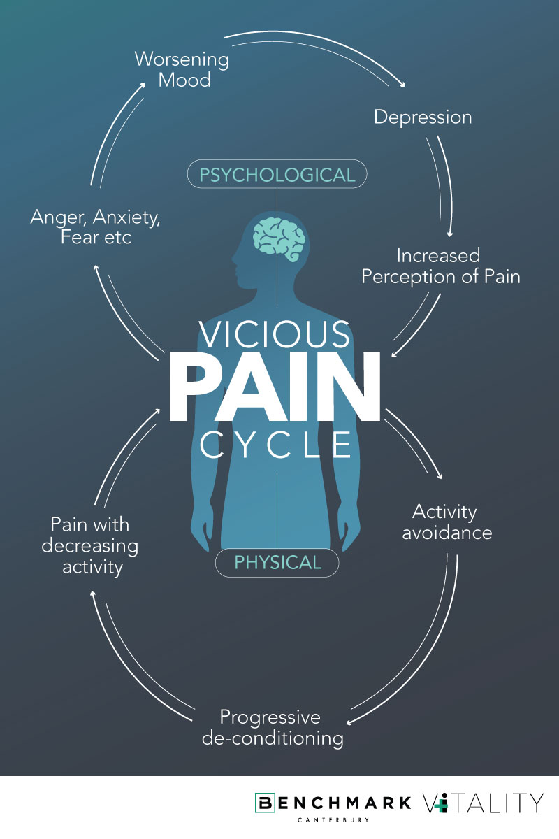 Pain Cycle and Exercise Physiology | Benchmark Canterbury
